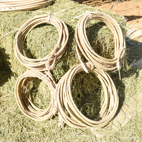 The Corrales Braided Rawhide Arreador Reata (Hazer) – Charro Gear